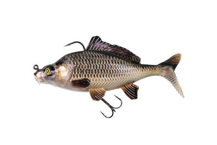 Fishon Tackle Shop. Fox Rage Super Natural Replicant Carp Lures